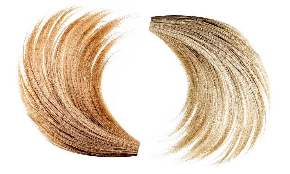 Hair Colour Refresh Guide for Salons | L'Oréal Partner Shop UK